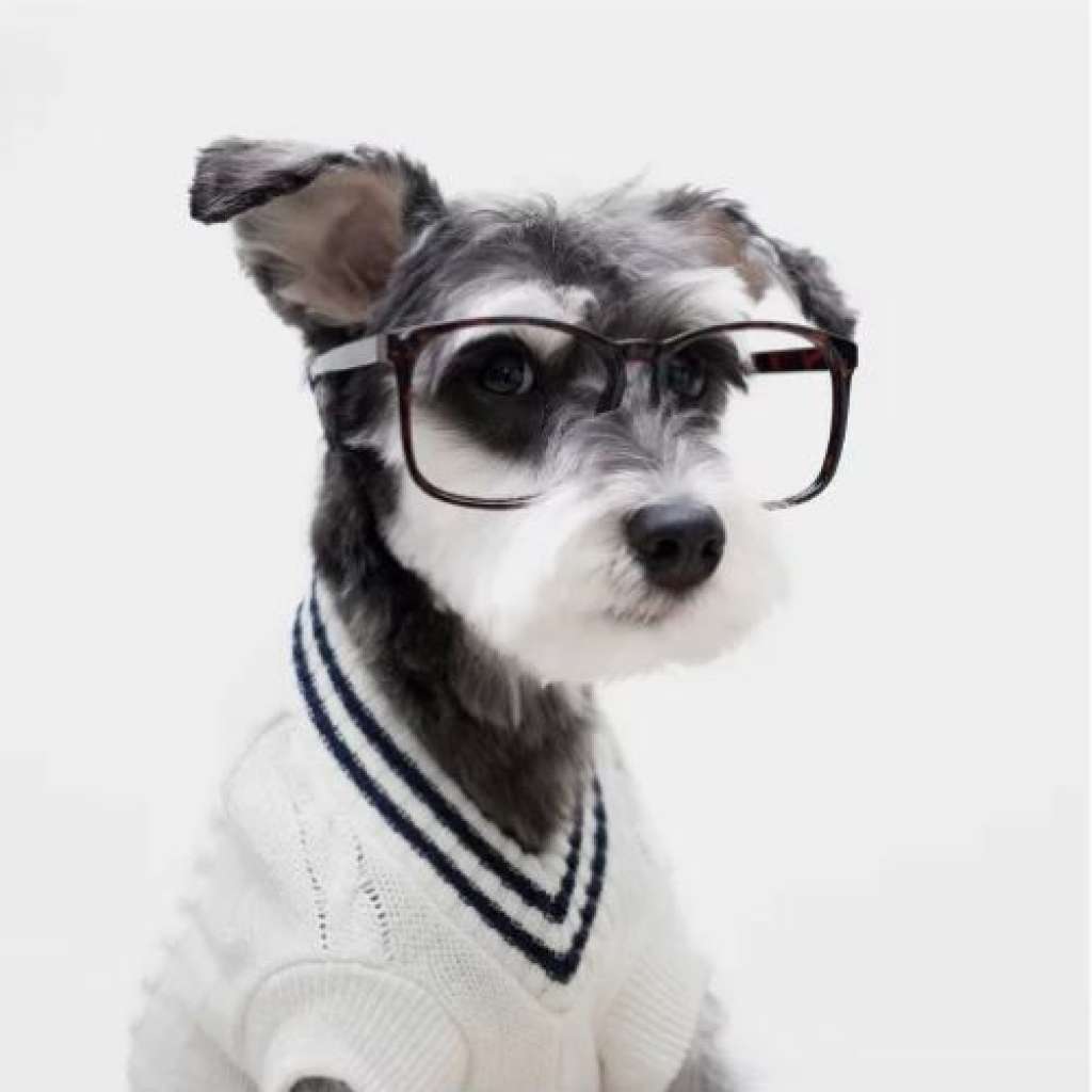 20 perros con el mejor estilo fashionista.