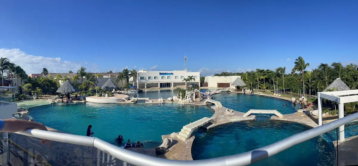 Nadar con delfines en Cancún y Riviera Maya